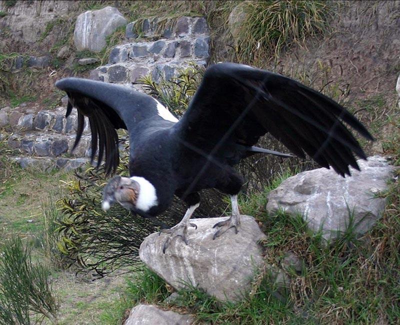 SAPITOURING: RUTA TURÍSTICA 3