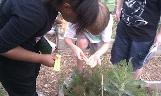 Science Gal: How do you recognize parts of an inch?