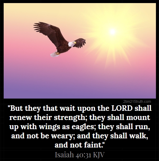 2 Timothy 2:15 Truth: Verse of the Day: Isaiah 40:31 KJV