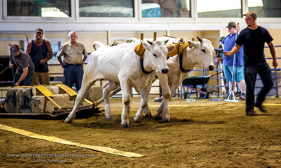 Getting it Right in the Digital Camera : Exploring Photography at the ...