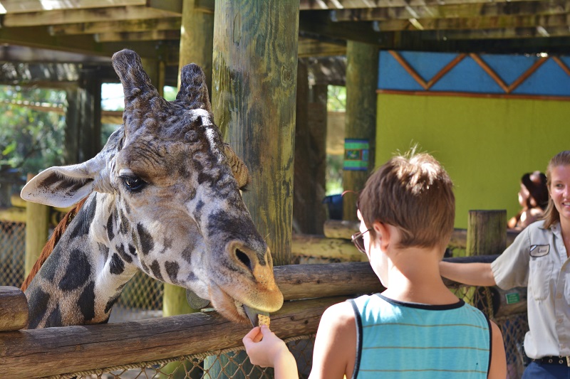 Life With 4 Boys: An Interactive Animal Experience at The Brevard Zoo # ...