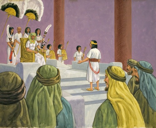 A Layman Looks at the Word: Joseph, the Son that Saved Israel and the ...