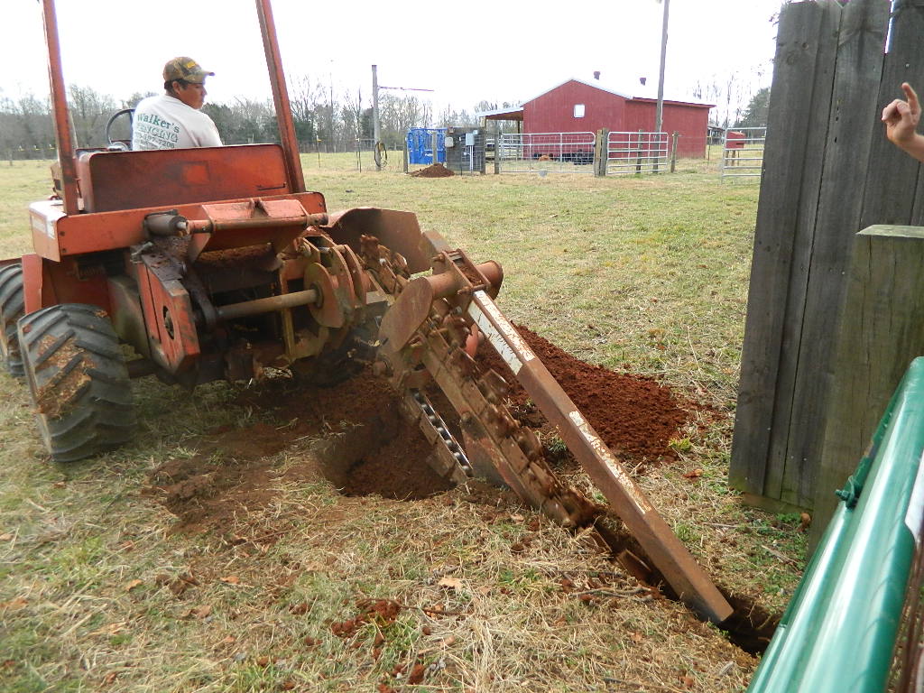 Sugar Pea Farm: Dig Dug