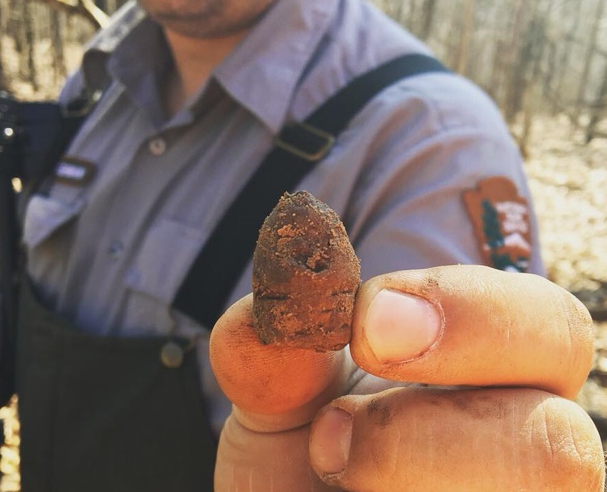 The Civil War Picket: Where cannon roared: Pea Ridge excavation yields ...