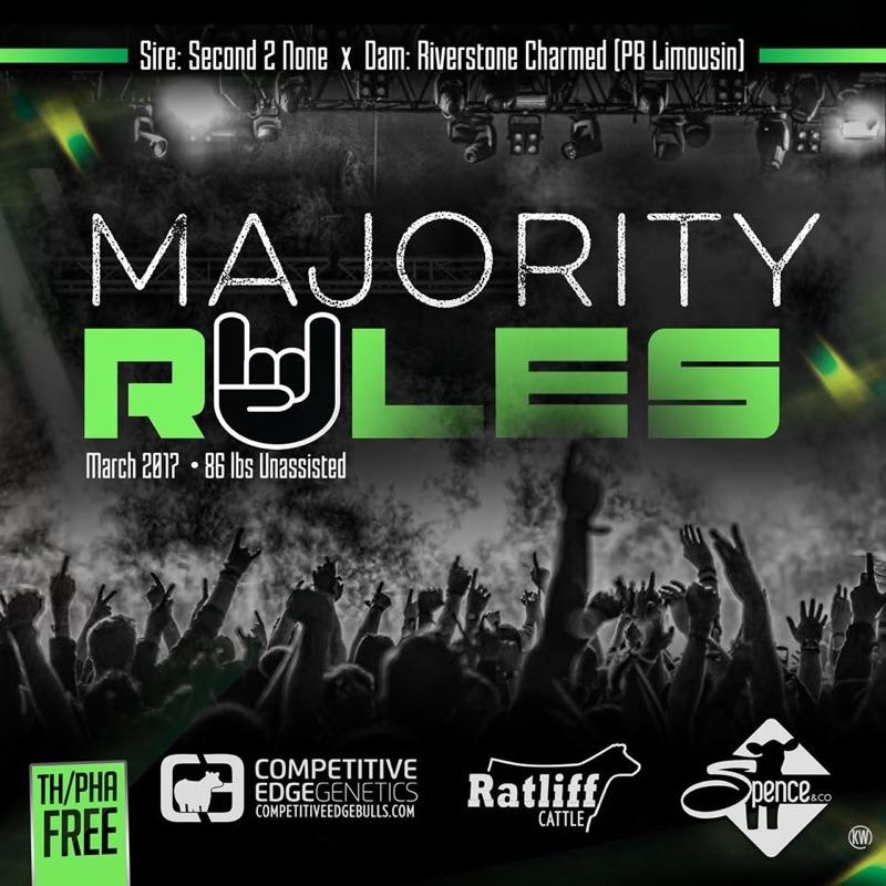 MITTAG Blog: Majority Rules