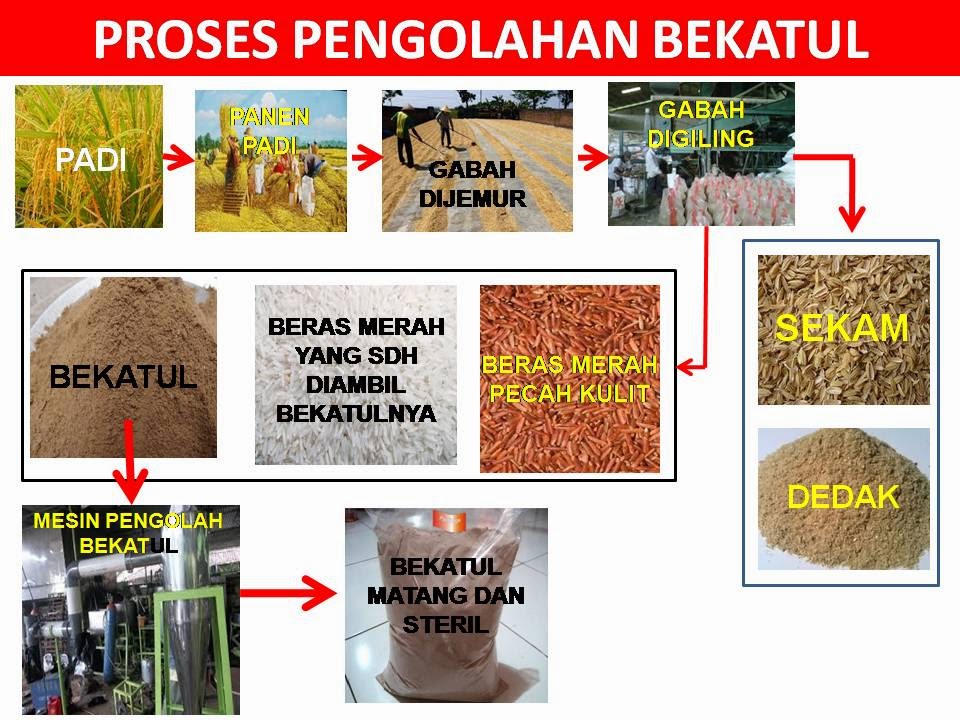 RICE BRAN NATURAL FOOD