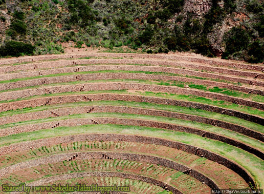 Ilmu Warisan Leluhur: Ladang/sawah Peninggalan Suku Inca
