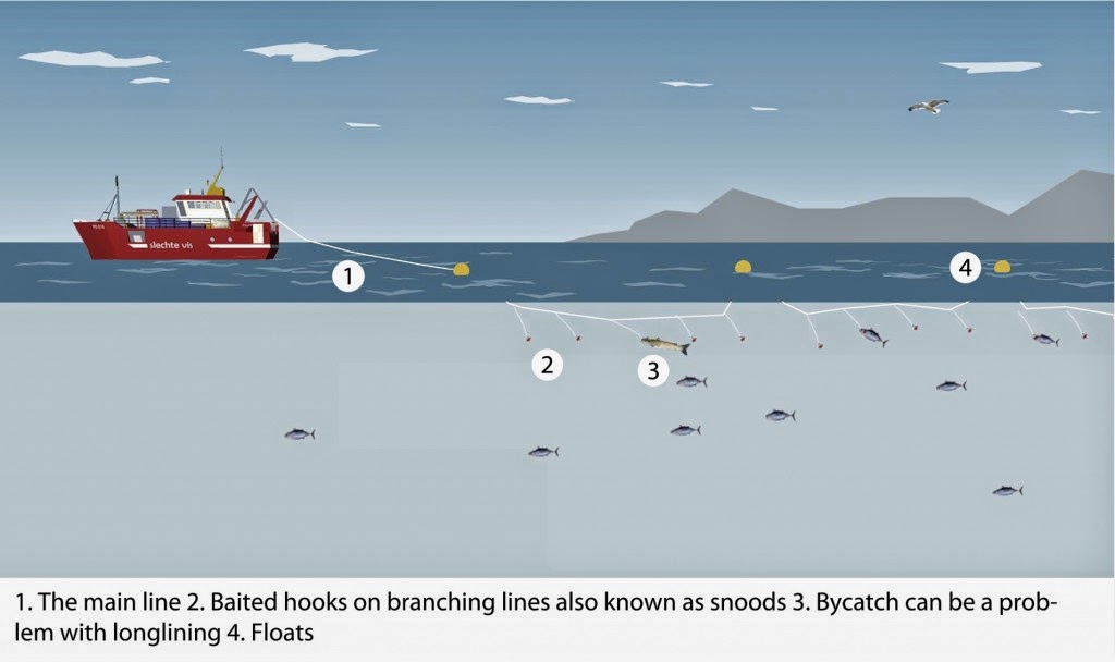 Fishing Techniques ~ FOKUS MANCING