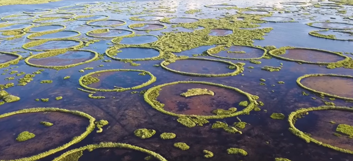 Loktak Lake, the only floating phumdis in Manipur
