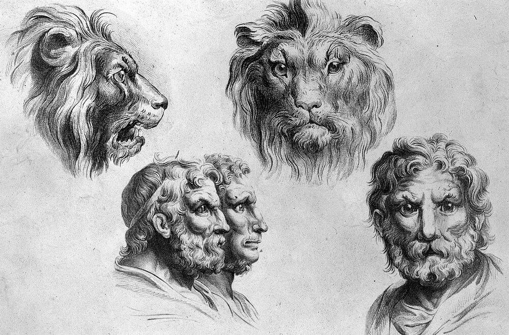 Design Stack: A Blog about Art, Design and Architecture: Animal ...