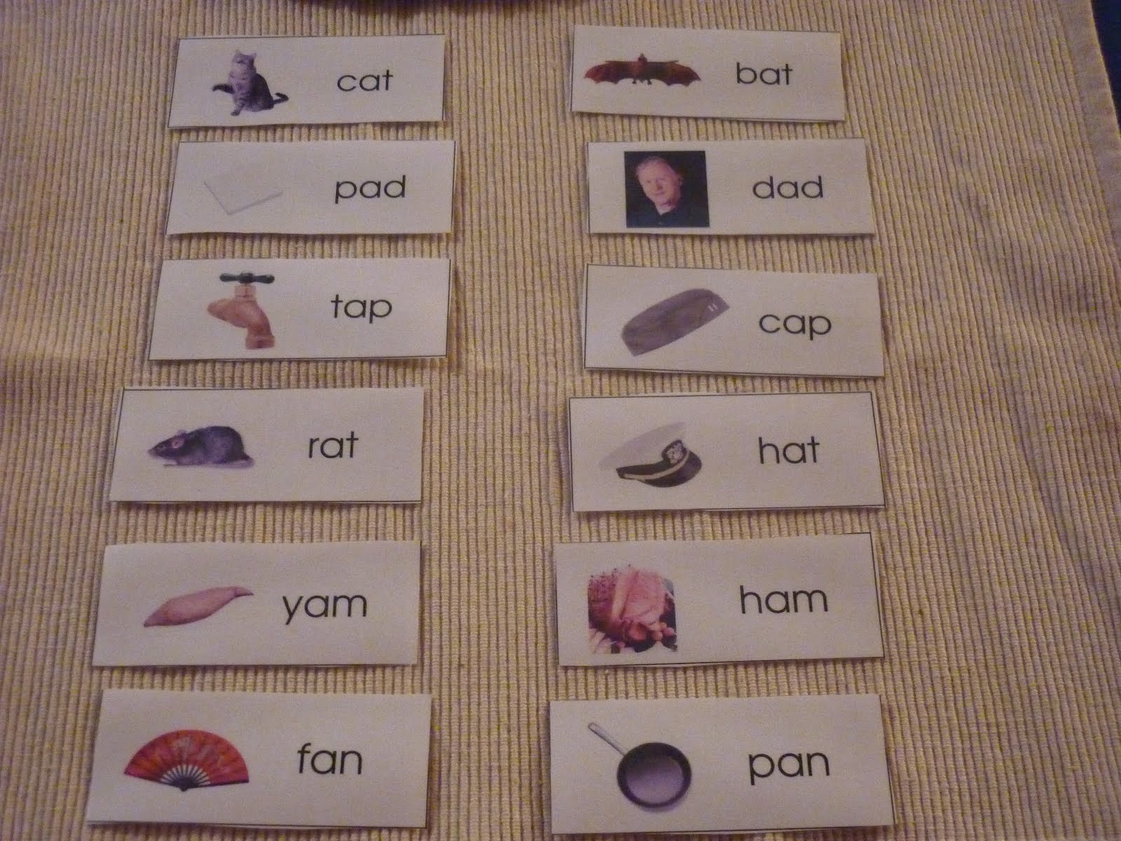 The Work Plan: It's Montessori Monday!!