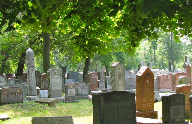 A Grave Interest: Cemeteries Worth the Visit - Waldheim Jewish Cemetery ...