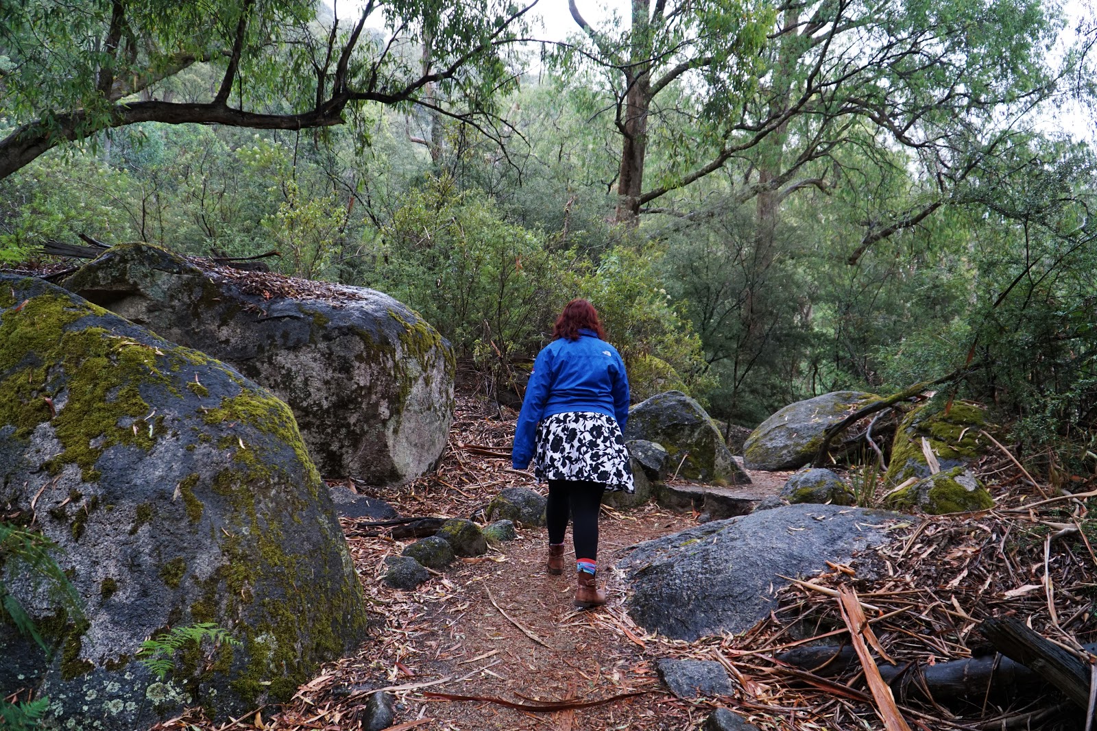 Eurobin Falls (Mt Buffalo National Park) ~ The Long Way's Better