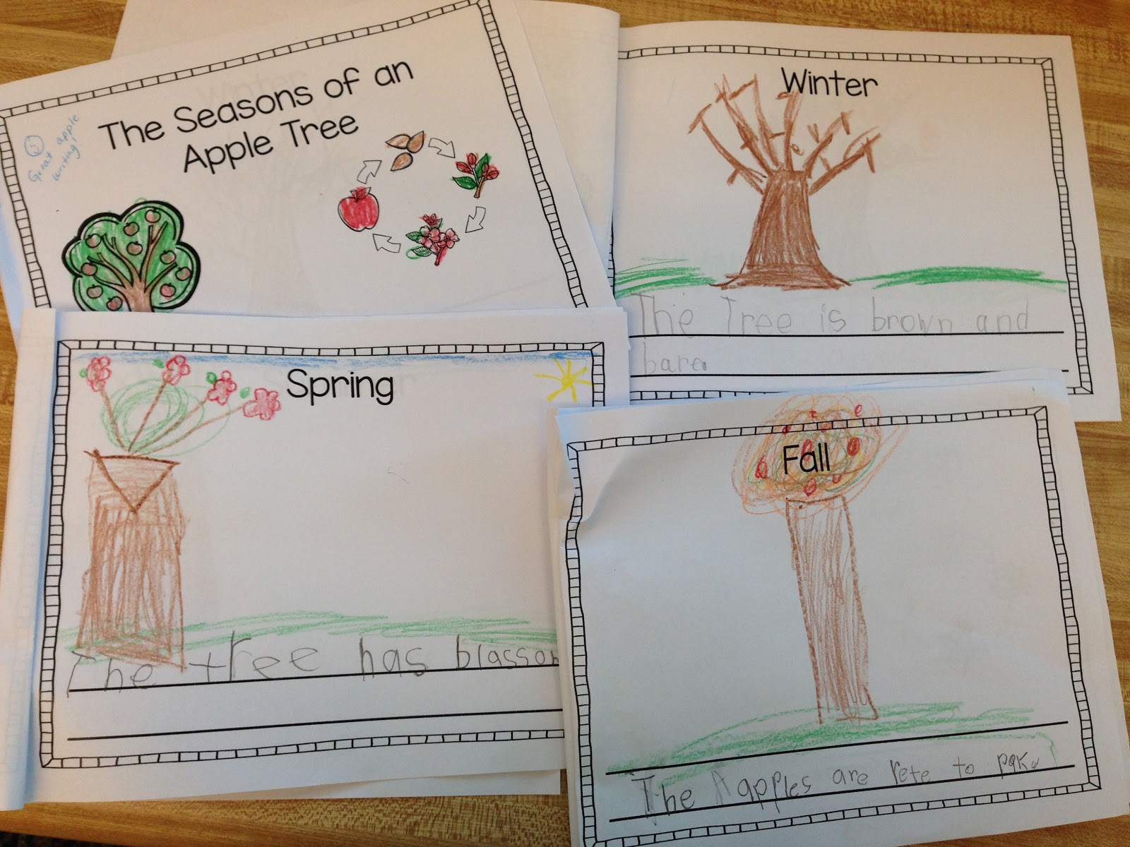 My First Grade Zoo: Apples, apples and more apples!