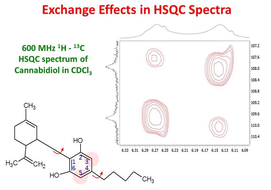 University of Ottawa NMR Facility Blog: Exchange Effects in HSQC Spectra