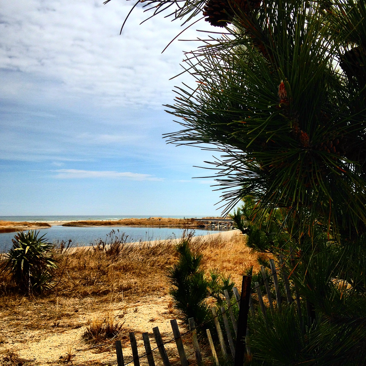 Wildwood Weather: April 2018