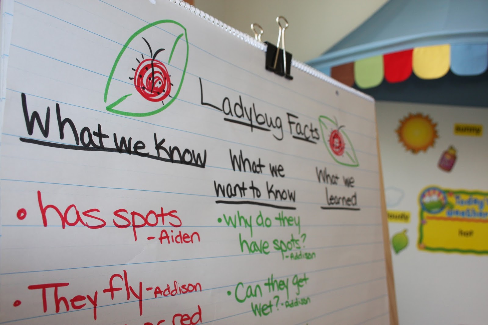 Mrs. Amador's Home Daycare: Ladybug Learning Time!