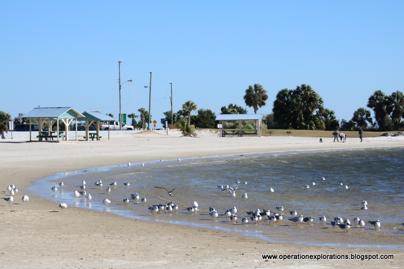 Operation Explorations: Fort Island Beach and Fort Island Trail Park ...