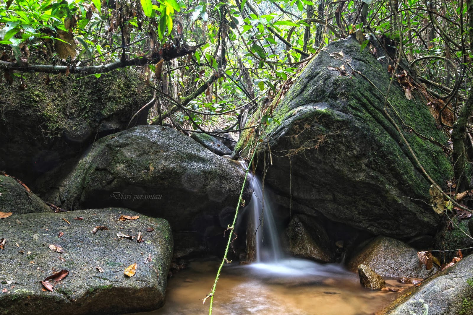Lensa Foto Malaysia: Taman Negara Endau Rompin