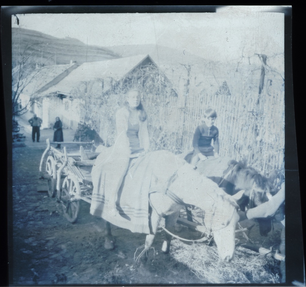 Ştiinţă pentru toţi: Câteva imagini din Valea Lungă, jud. Alba