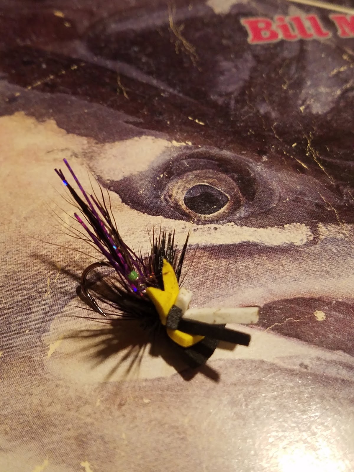 DRY LINE STEELHEAD - OREGON: December Dry Fly Steelhead