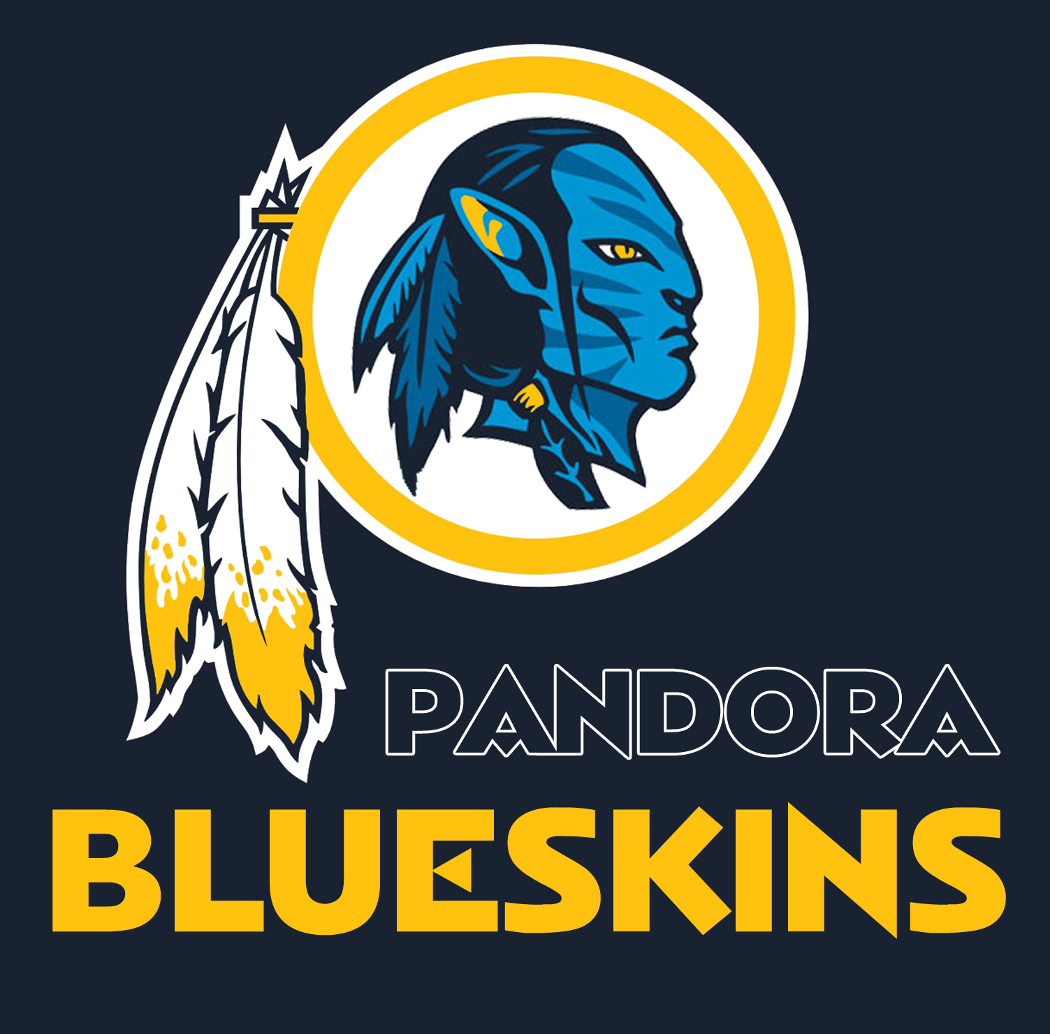 Kenwood USA Fantasy Football League: Pandora Blueskins - Scott Caswell