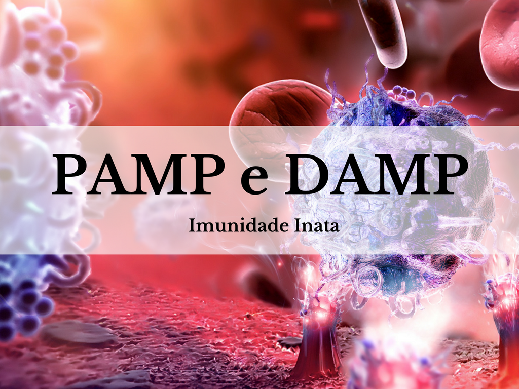 Imunologia - PAMP e DAMP (Imunidade Inata) - Tira o Jaleco