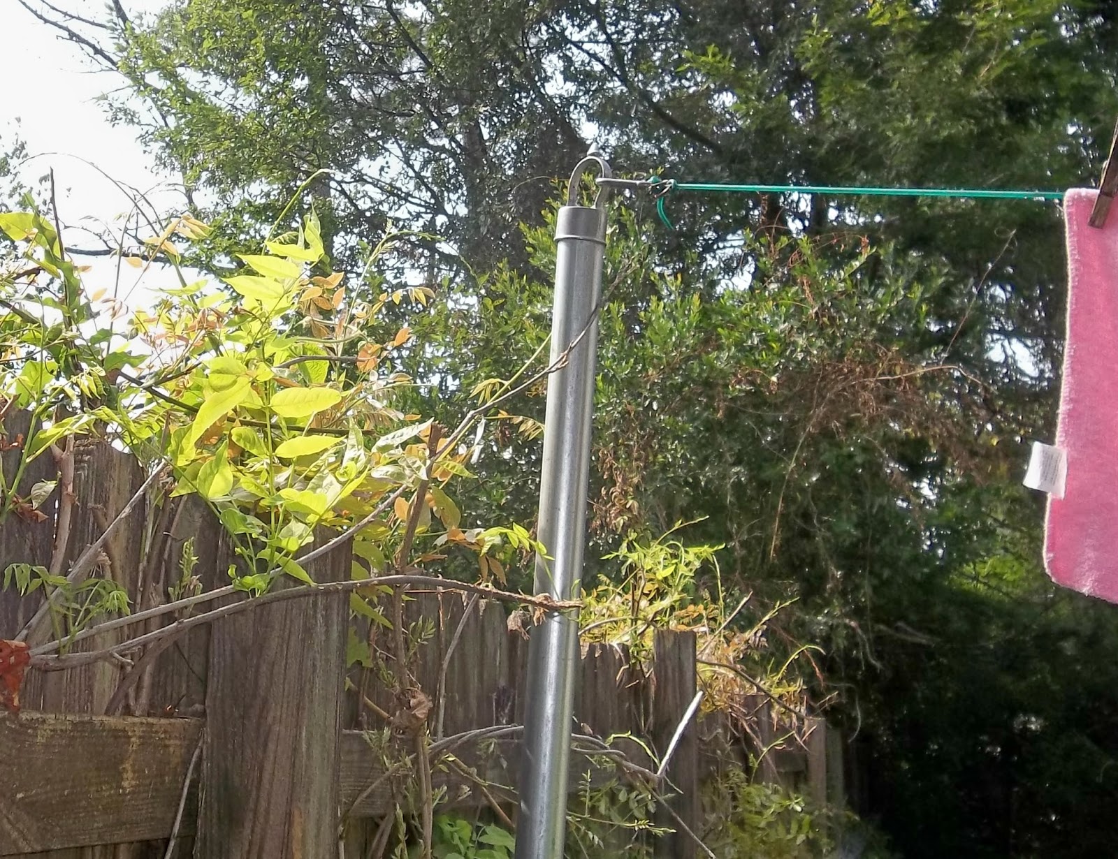 PRACTICAL PARSIMONY: Make-do Clothesline