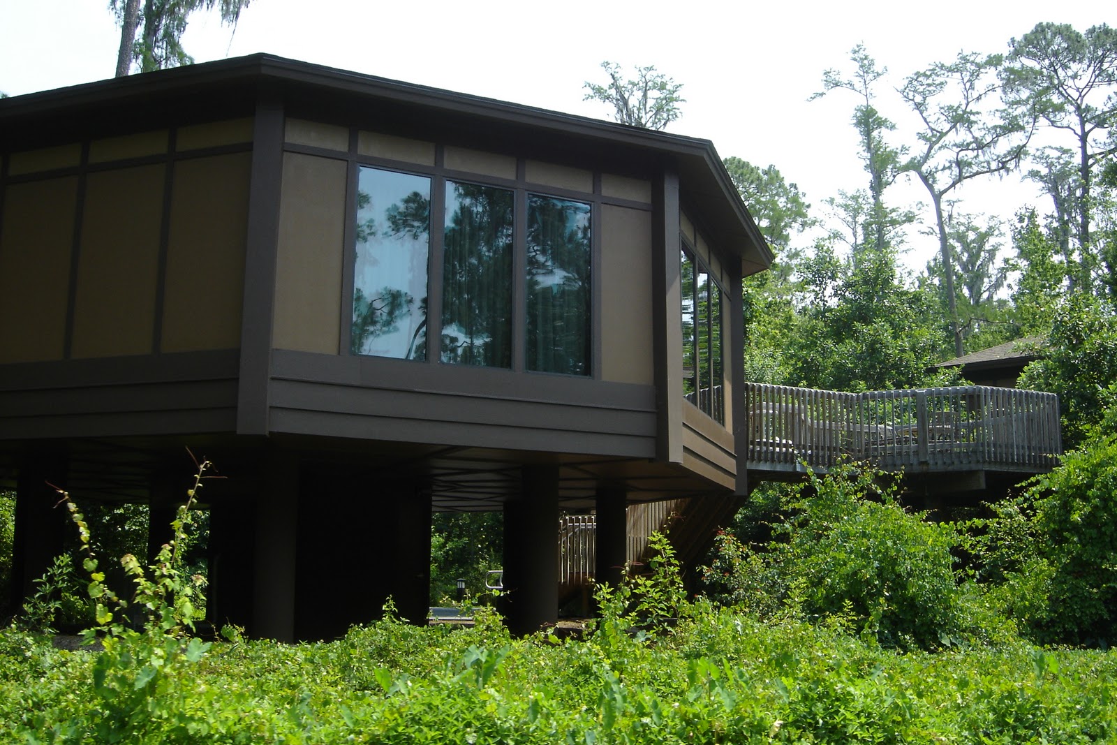 Disney Vacation Kingdom: Treehouse Villas