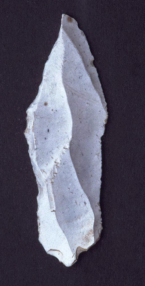 EVERYTHING ABOUT ARCHAEOLOGY: WHAT IS THE CRESWELL POİNT