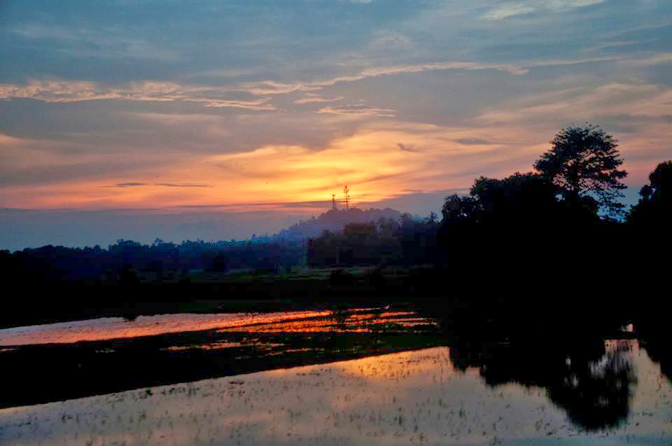 Beauty Of My Home Town Gampaha beauty-of-my-home-town-gampaha