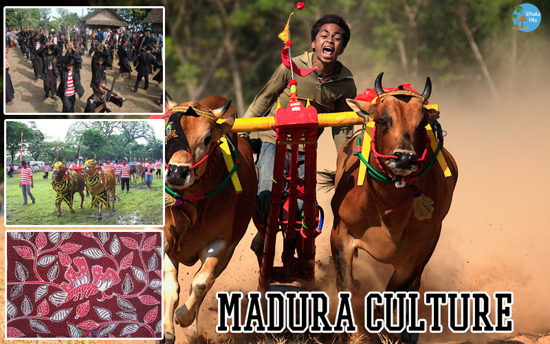 Ciri Khas Kebudayaan Masyarakat Madura - Wisata Hits