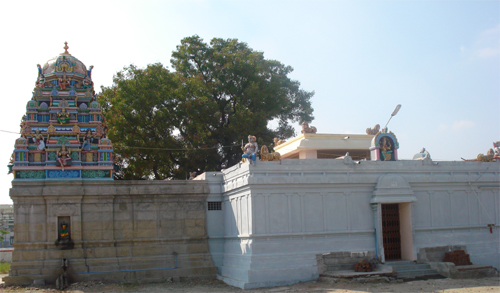 Tamilnadu Tourism: Kottai Mariamman Temple, Dharapuram, Tirupur