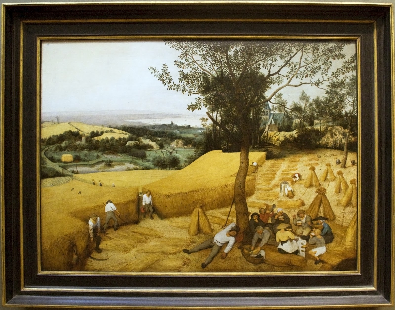 Storm within the Empire: Medieval Farming