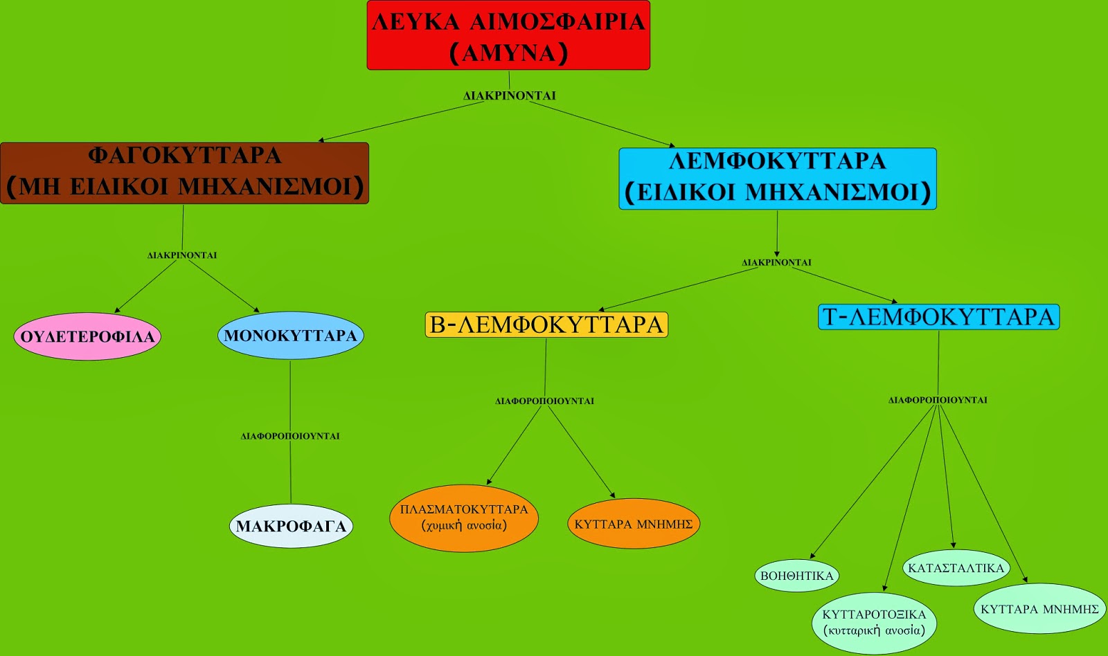 Η ΒΙΟΛΟΓΙΚΗ ΝΤΟΜΑΤΑ: Φεβρουαρίου 2014