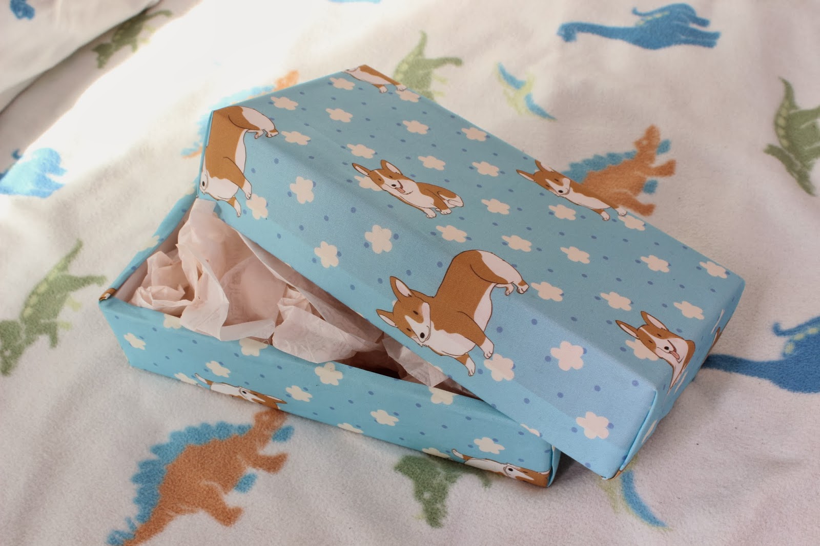 Haruka Illustration: Corgi box!