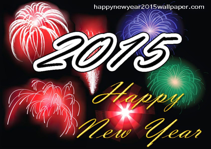 Get a completely designed website for $699 Only: New Years 2015 in ...