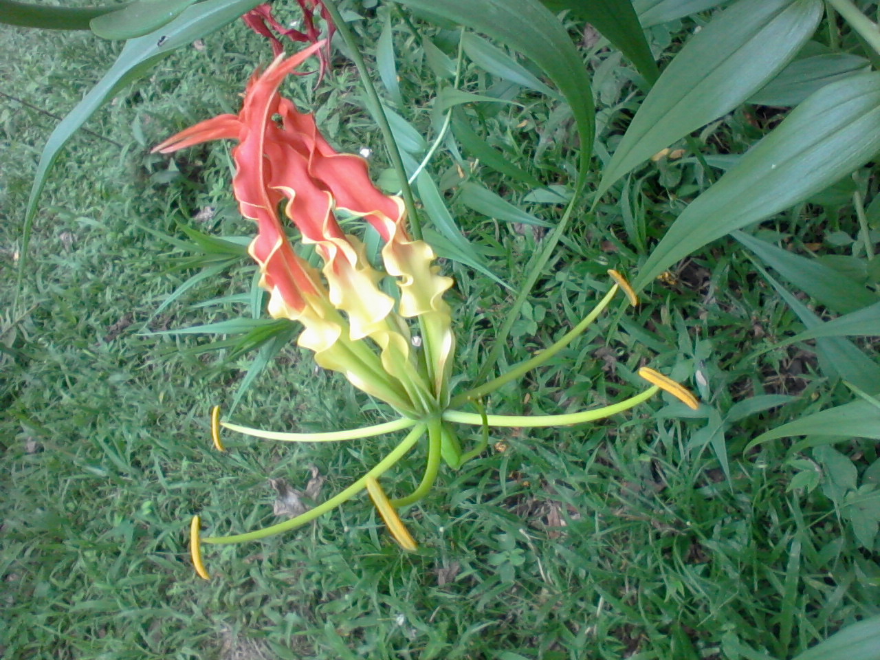 Biologi menjadi sebab kita bisa selalu bertafakkur. . .: Deskripsi ...