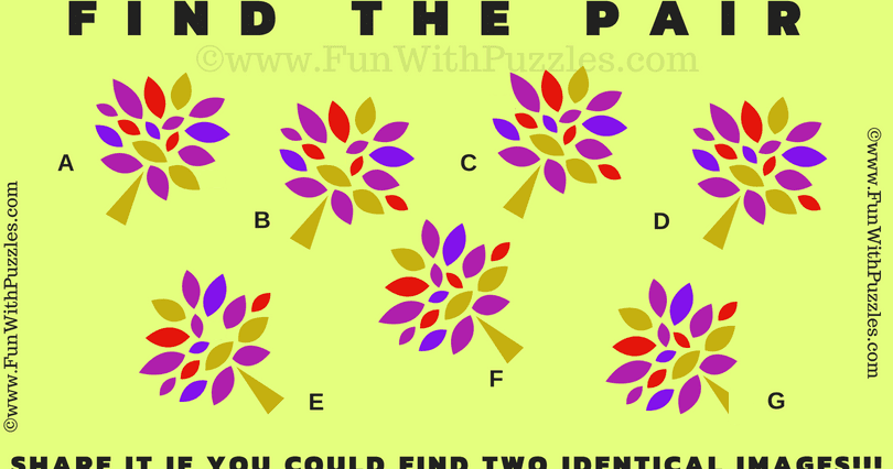 Genius Observer Challenge: Visual Riddle Quiz Puzzle