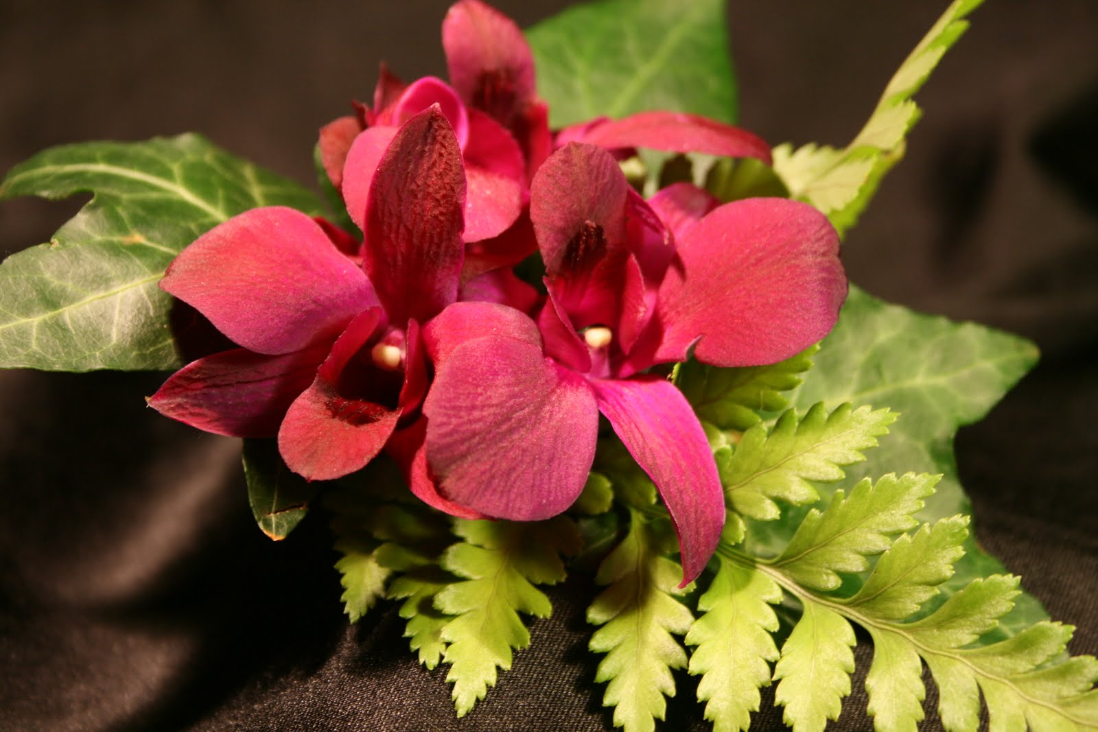 Hocus Pocus Flowers
