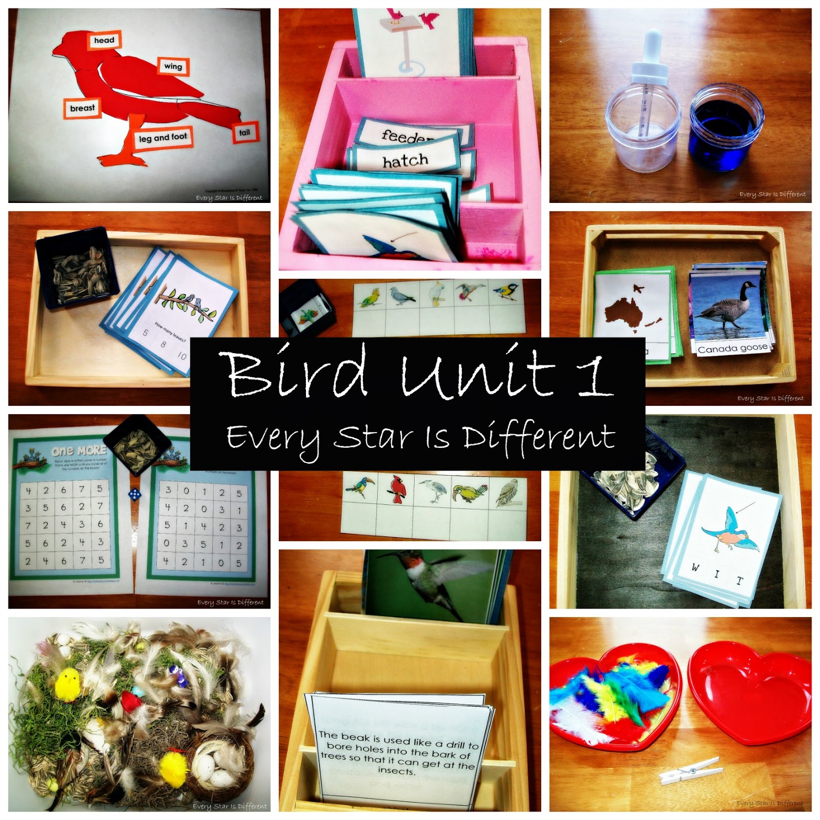 More Montessori-inspired Bird Math Activities (Learn & Play Link Up ...