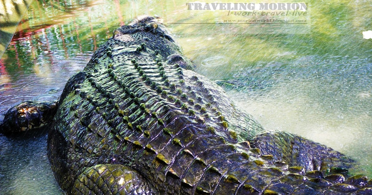 Traveling Morion | Travel + Photography: Morion's PhotoTravel Diaries ...