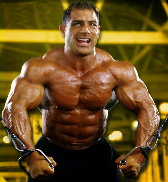 Muscle Gods: Mike Dragna