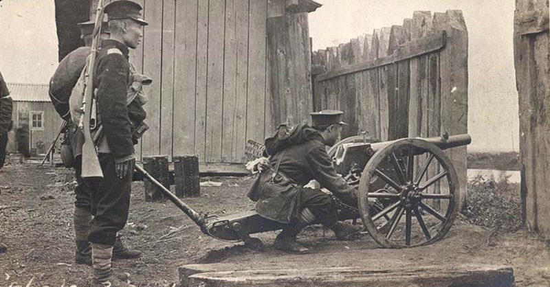 100 Years Later: The Difficult Offspring of Xinhai 辛亥的辛孩