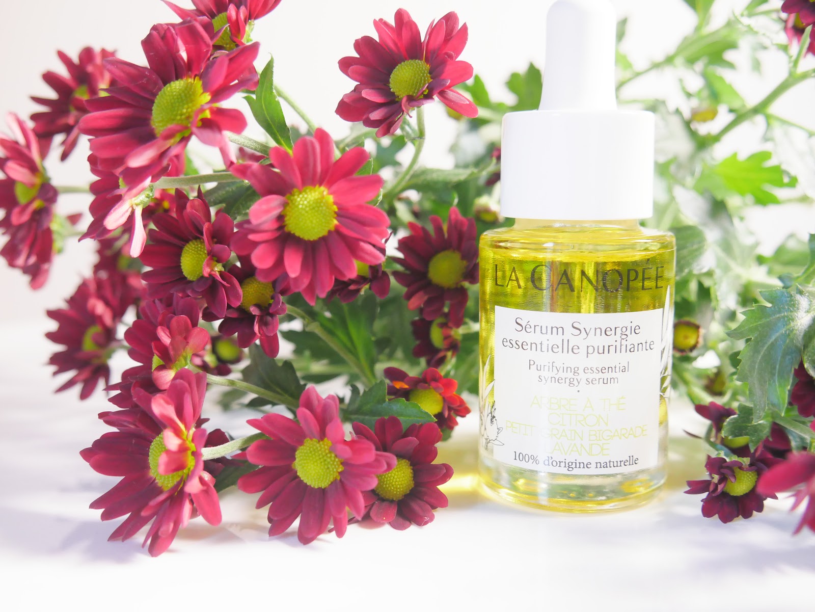 Mon avis sur les soins La Canopée / VENUS MAG