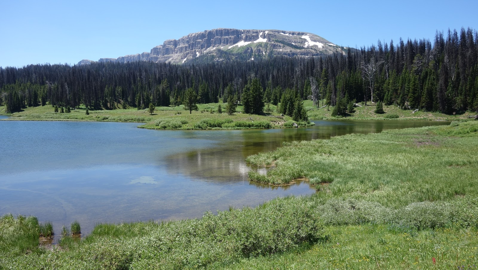 Across the Wilderness: Continental Divide Trail: Togwotee Pass ...