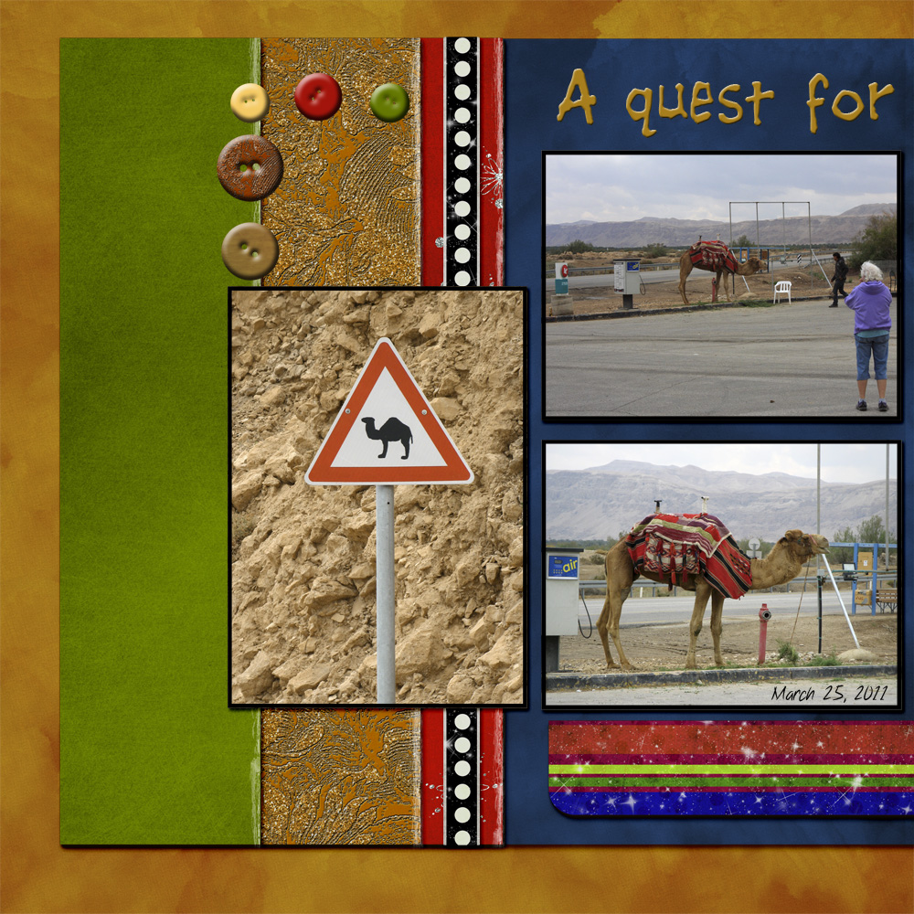 C.J.'s Scrapbook: Israel!