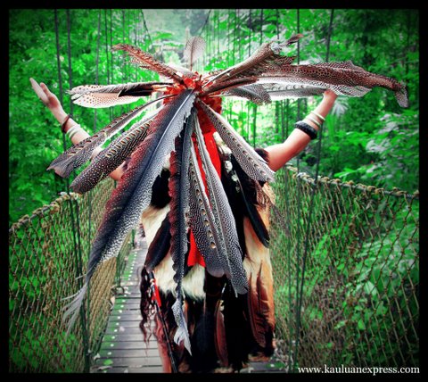 paren nyawi's blog: The(Kuau Raja/Burung Ruai) Great Argus' feathers as ...