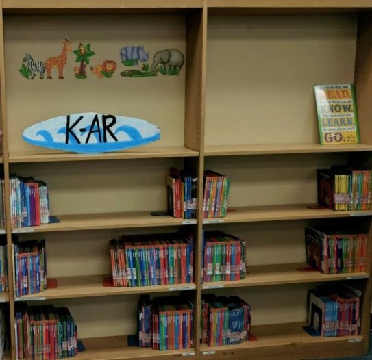 Beyond Stories and Books: Through the Eyes of a Child....Shelf Organization