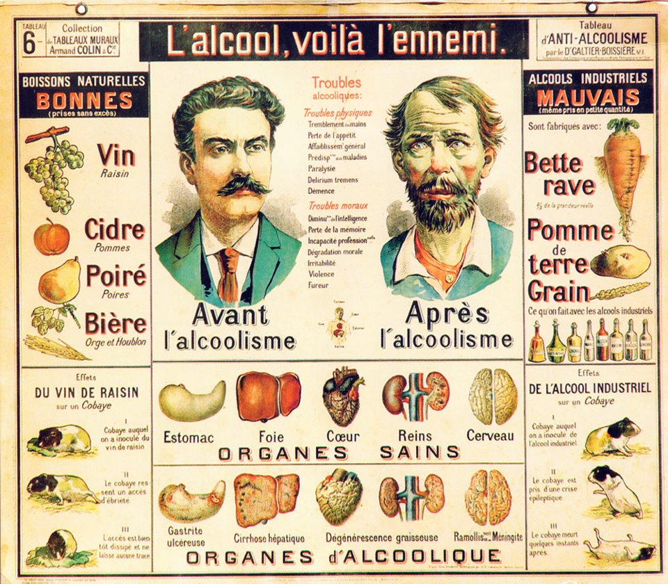 Vins bio, biodynamiques, nature ... Comment s'y retrouver ? - A boire ...